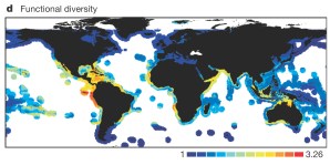 What is functional diversity, and why do we care? – sample(ECOLOGY)